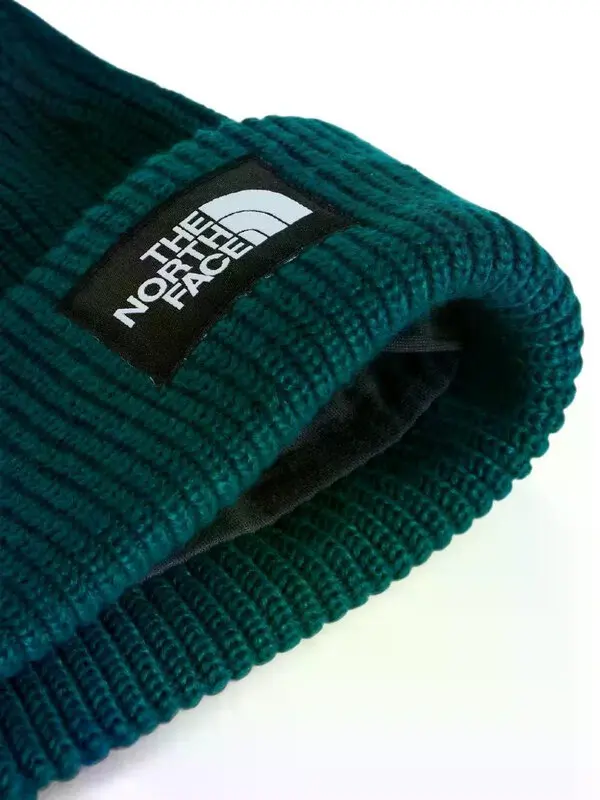 The North Face Salty Lined Beanie