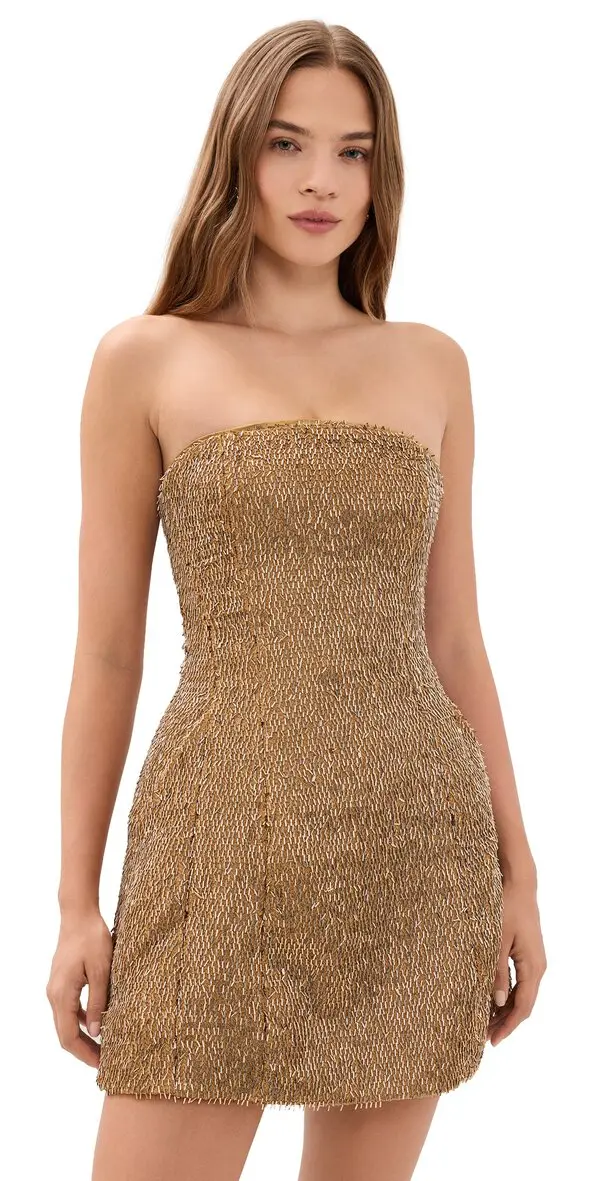 Bardot Florine Hourglass Mini Dress