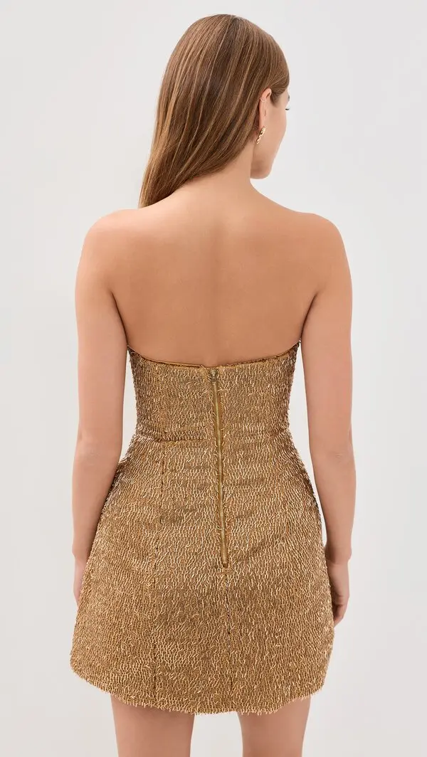 Bardot Florine Hourglass Mini Dress