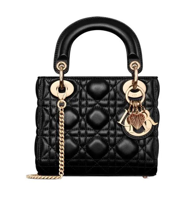 Dior Dioramour Mini Lady Bag