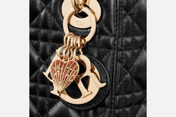 Dior Dioramour Mini Lady Bag