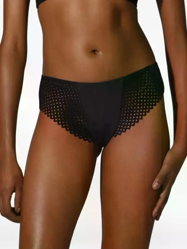 Wolford Romantic Net Briefs
