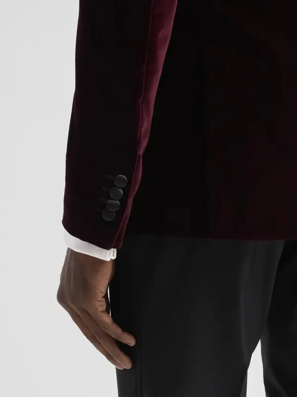 Pal Zileri Velvet Shawl-collar Dinner Jacket