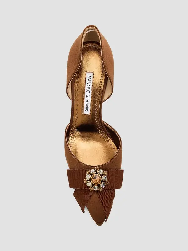 Manolo Blahnik Apidosa Embellished D'orsay Pumps - Medium Brown