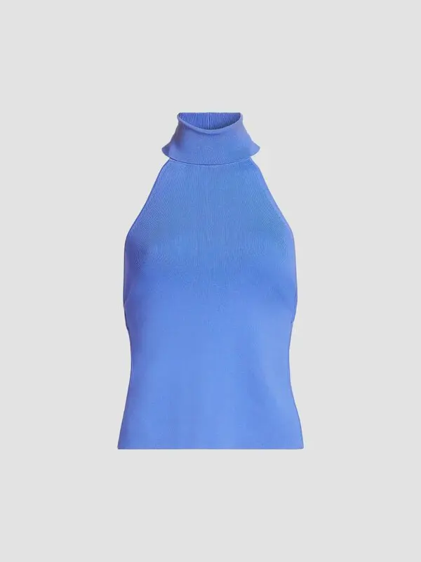 Cult Gaia Wake Rib-knit Turtleneck Top