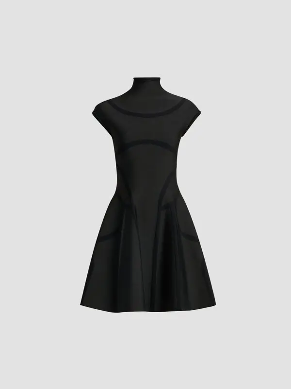 Alexander McQueen Volume Fit & Flare Mini Dress
