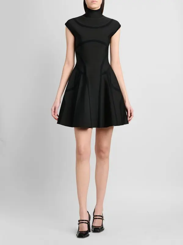 Alexander McQueen Volume Fit & Flare Mini Dress