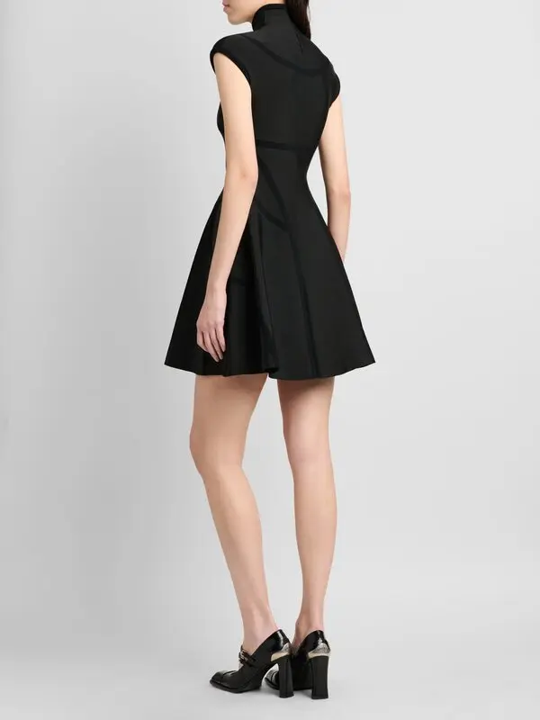 Alexander McQueen Volume Fit & Flare Mini Dress