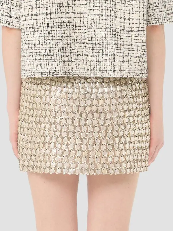 Valentino Garavani Mini Skirt In Embroidered Organza