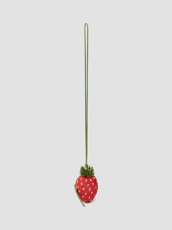 Loewe X Paula's Ibiza Strawberry Raffia Coin Purse