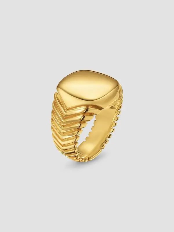 David Yurman Chevron Signet Ring In 18k Yellow 18mm