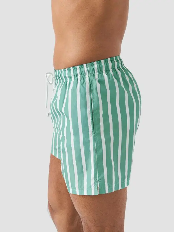 Eton Striped Swim Shorts