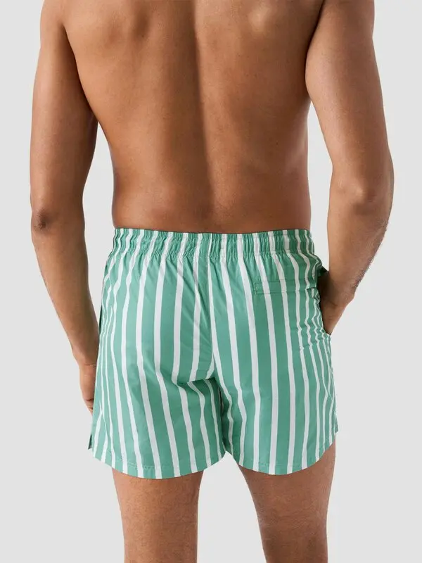 Eton Striped Swim Shorts