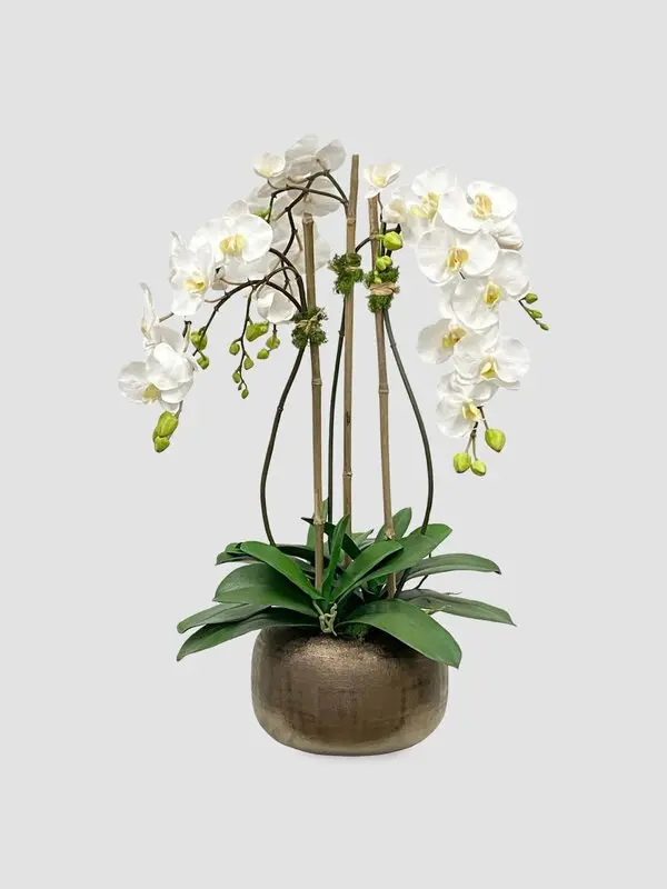 WINWARD HOME Newness Artificial Orchid Floral Arranget