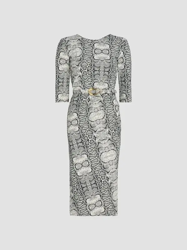Chiara Boni La Petite Robe Shire -printed Sheath Midi-dress - Snake