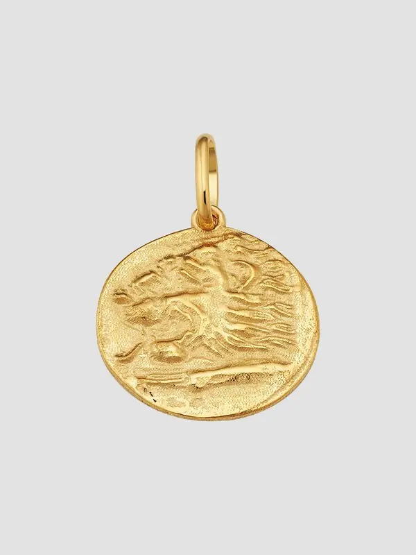 ORADINA 14k Yellow Greek Lion Medallion Pendant Charm - Gold
