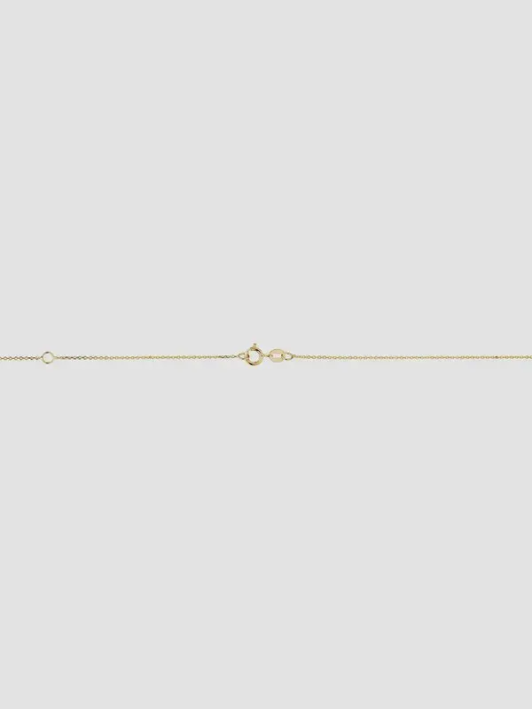 ORADINA Inner Circle Drop Necklace In 14k Yellow