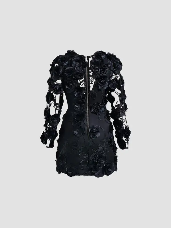 ZHIVAGO Aonia Embellished Floral Mesh Minidress