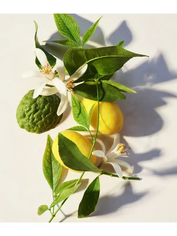 BVLGARI Eau Parfumée Thé Vert Body Shower Gel