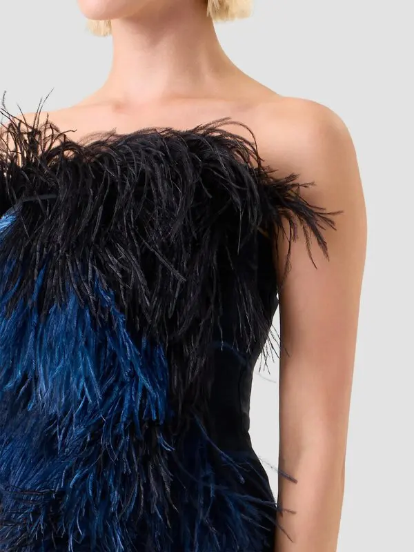 Akris Corsage Cyanotype Feather Gown