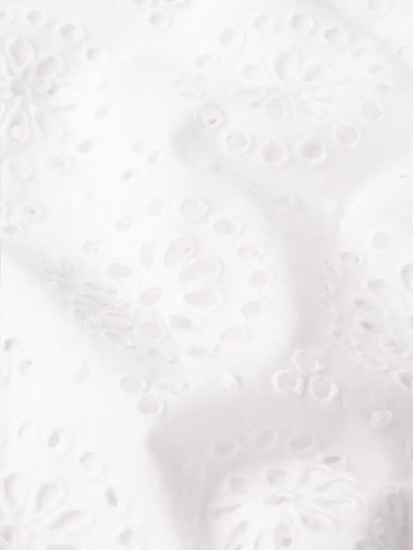 FRAME The Solstice Eyelet Midi-skirt