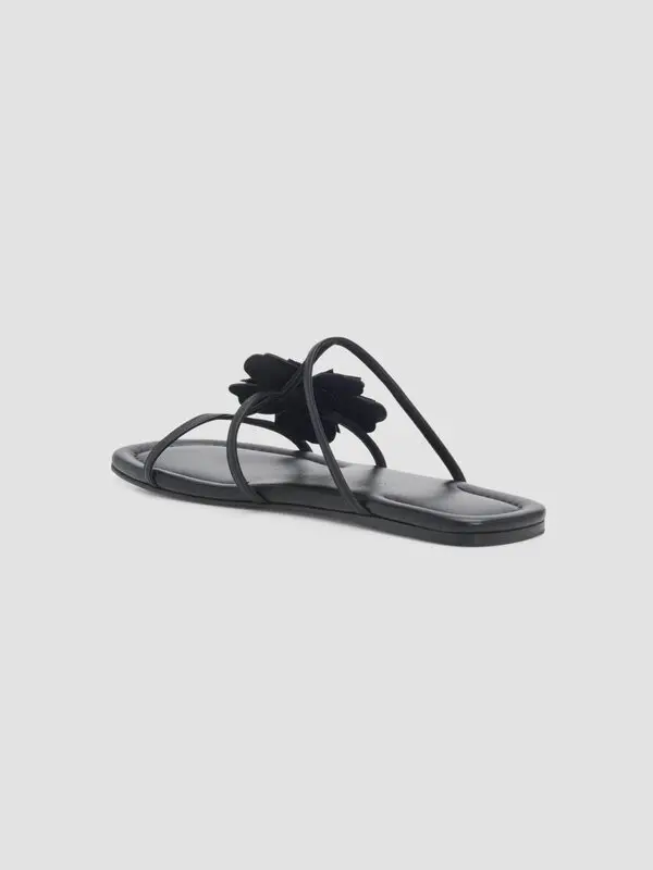 Zimmermann Belara Flower-appliqué Leather Sandals - Black