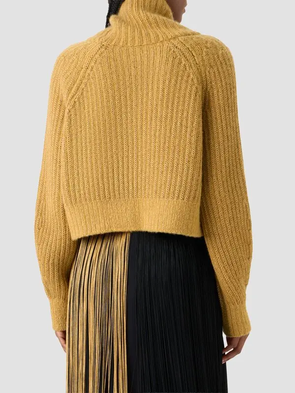 Akris Chunky Knit Turtleneck Sweater