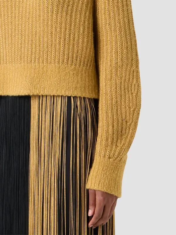 Akris Chunky Knit Turtleneck Sweater