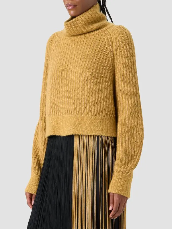 Akris Chunky Knit Turtleneck Sweater