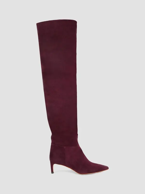Ulla Johnson Carolina Slouchy 55mm Over-the-knee Suede Boots