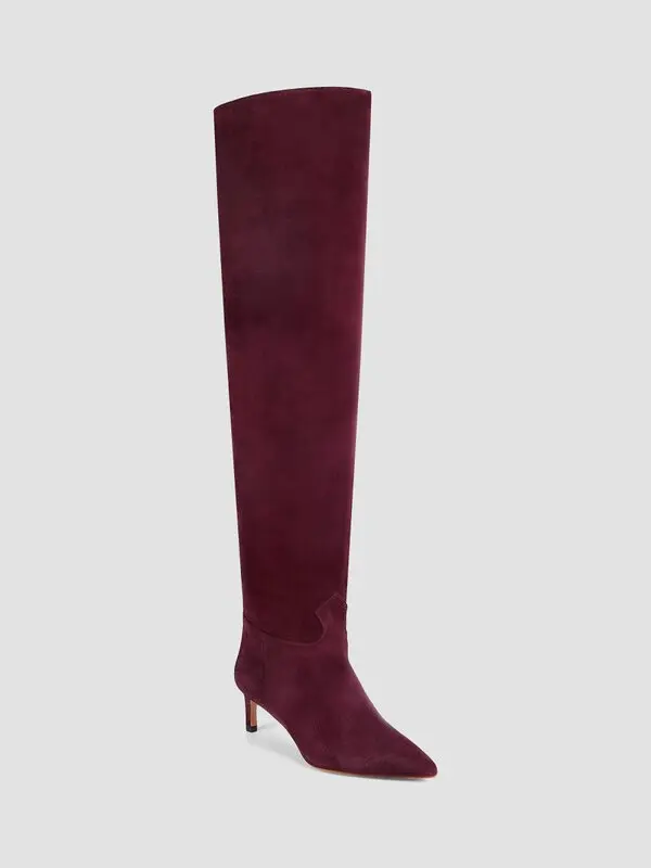 Ulla Johnson Carolina Slouchy 55mm Over-the-knee Suede Boots