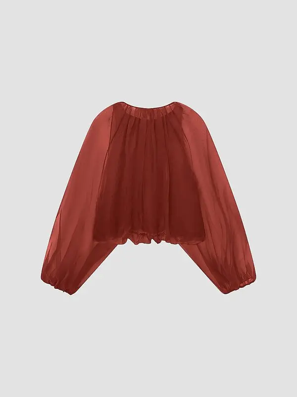 FRAME The Sheer Balloon Blouse