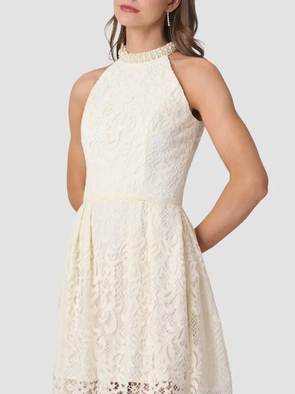 Shoshanna Cooper Lace Embellished-neck Mini Dress