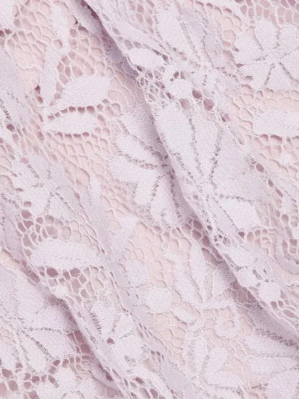 A.L.C. Astra Floral Lace Cotton-blend Minidress
