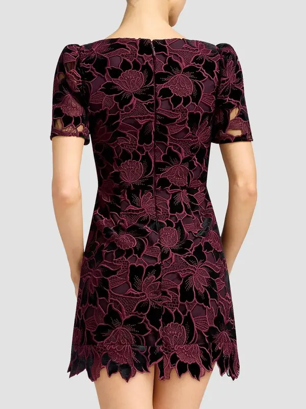 Dress The Population Clarke Bow-front Velvet Lace Mini Dress