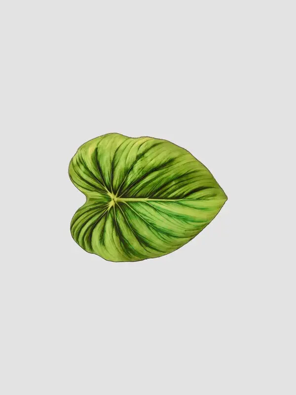 KIM SEYBERT Tropicana Placemat