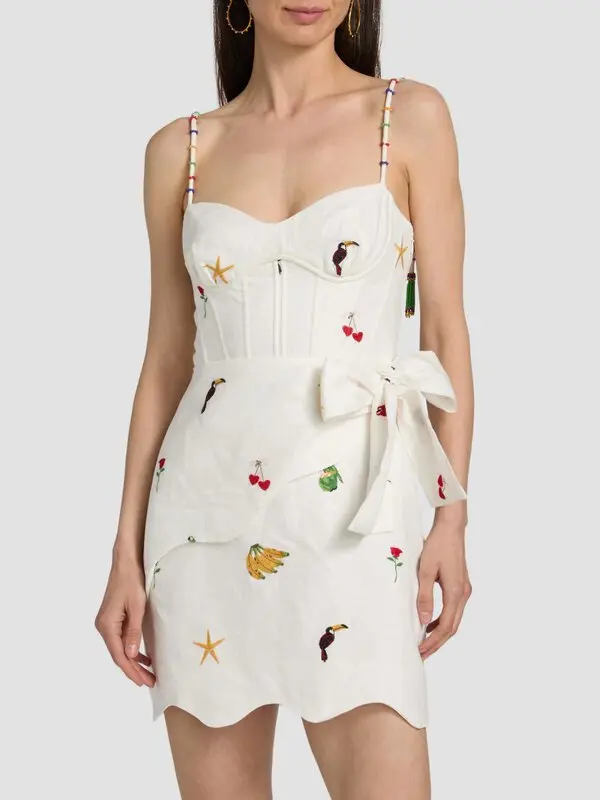 Farm Rio Cool Day Embroidered Mini Dress
