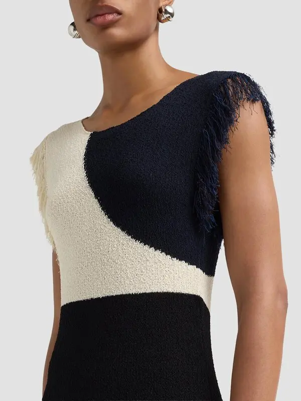 Proenza Schouler Saskia Colorblocked Fringe Dress