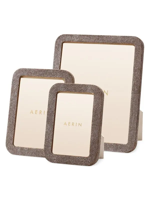 Aerin Modern Shagreen Frame