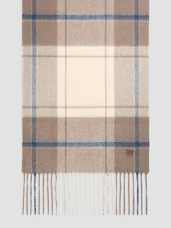 Max Mara Cashmere Scarf - Brown