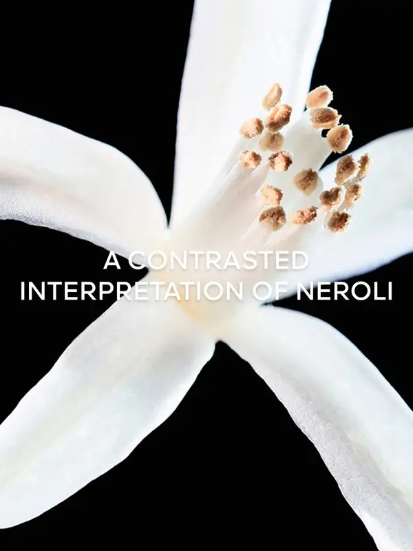 GUERLAIN L'art & La Matiere Neroli Outrenoir Eau De Parfum