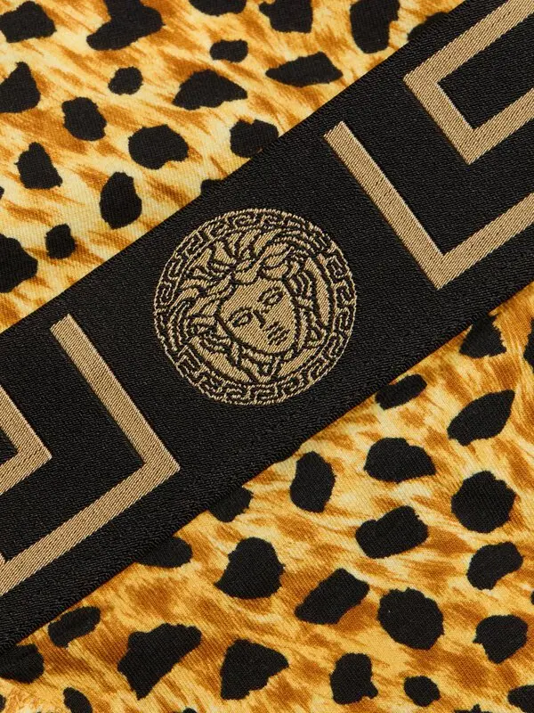 Versace Topeka Cheetah-print Stretch-jersey Thong
