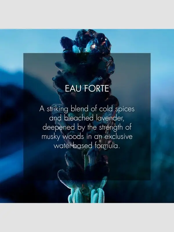 Dior Sauvage Eau Forte Parfum