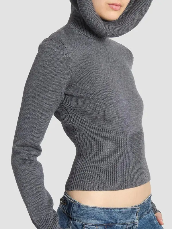 Alaïa Hooded Wool Sweater