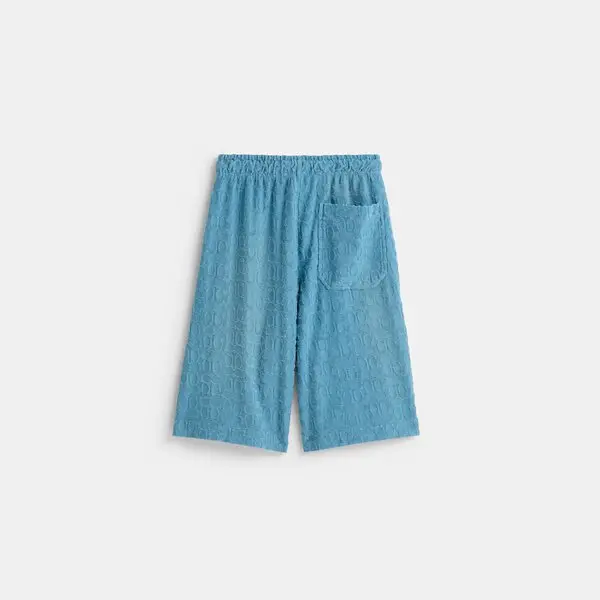 COACH Restored Sun Faded Shorts