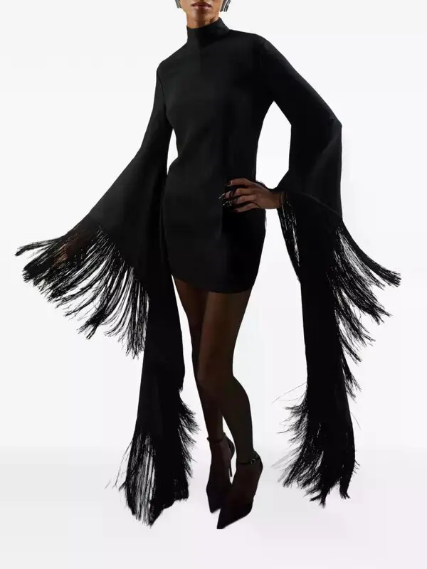 TALLER MARMO Dragon Fringe-trimmed Mini Dress