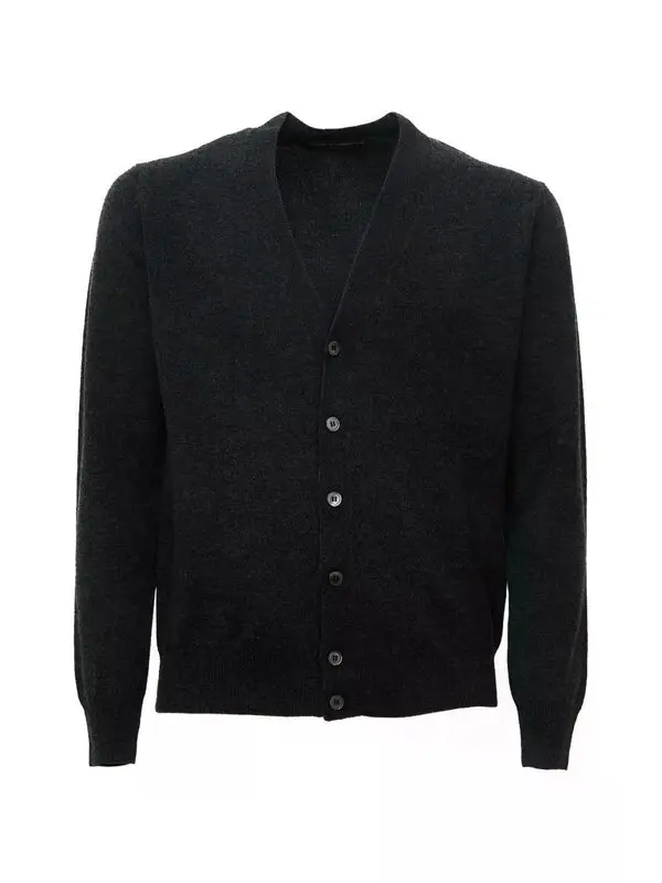 FILIPPO DE LAURENTIIS Fine-knit V-neck Cardigan
