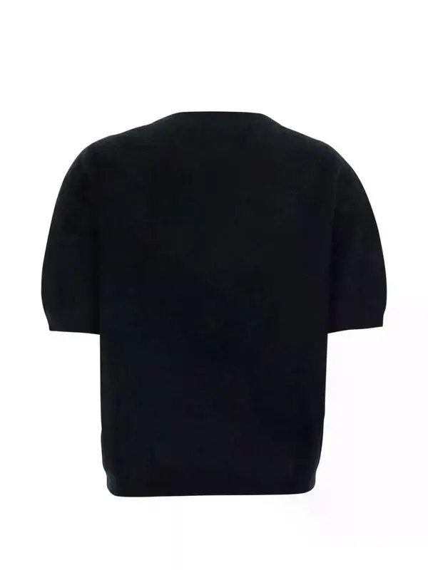 Soft Goat Brushed-knit Short-sleeve Cashmere Sweater