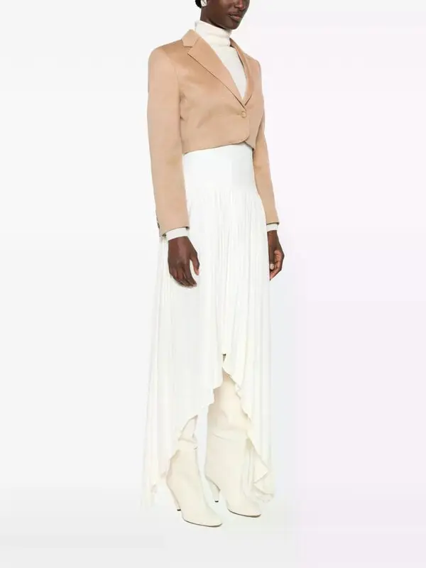 Max Mara Cropped Single-breasted Jacket