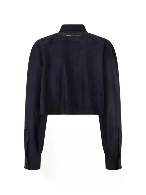 Pinko Pinstripe Cropped Shirt